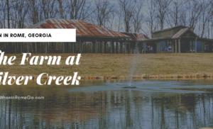 Lawrence Preserve At Horseleg Creek In Rome, Georgia