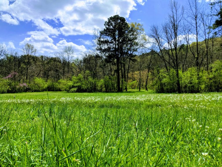 5 Reasons to Visit Rome, Georgia in the Spring