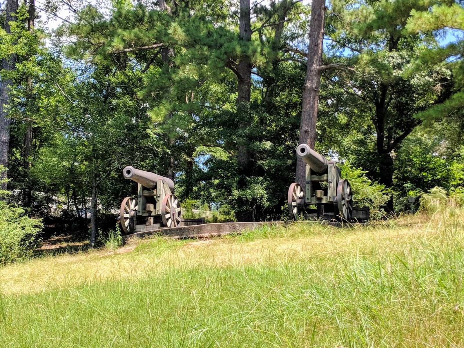 Discover The Best Walking Trails In Rome, Georgia