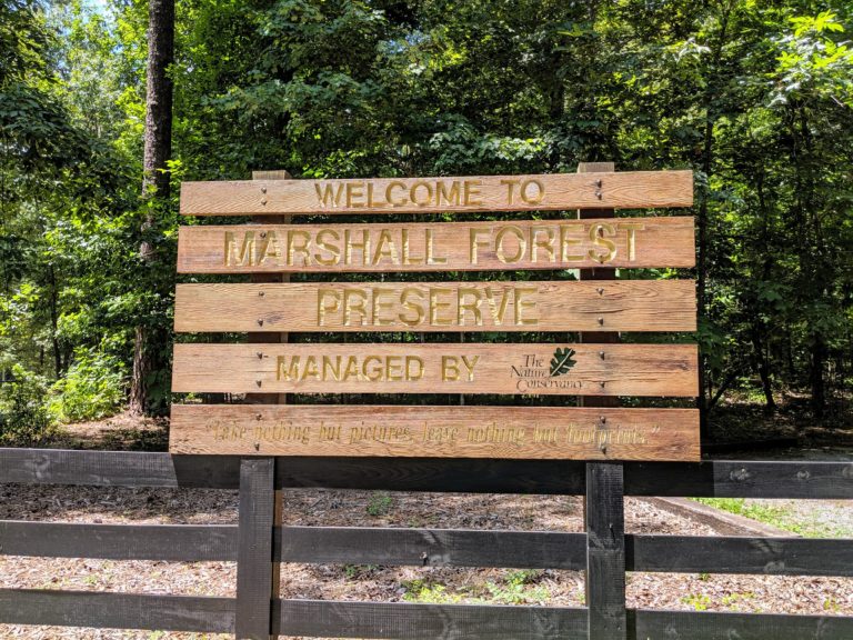 Discover The Best Walking Trails In Rome, Georgia