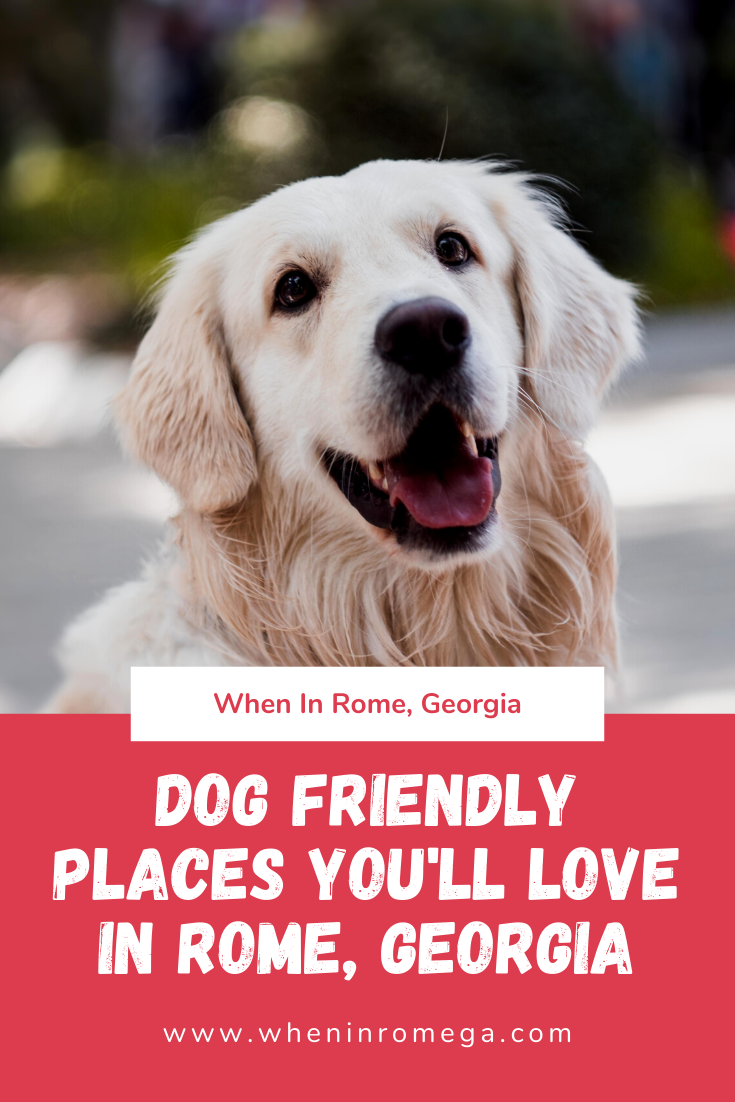 Dog-Friendly Places You’ll Love In Rome, Georgia