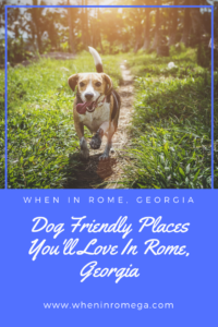 Dog-Friendly Places You’ll Love In Rome, Georgia