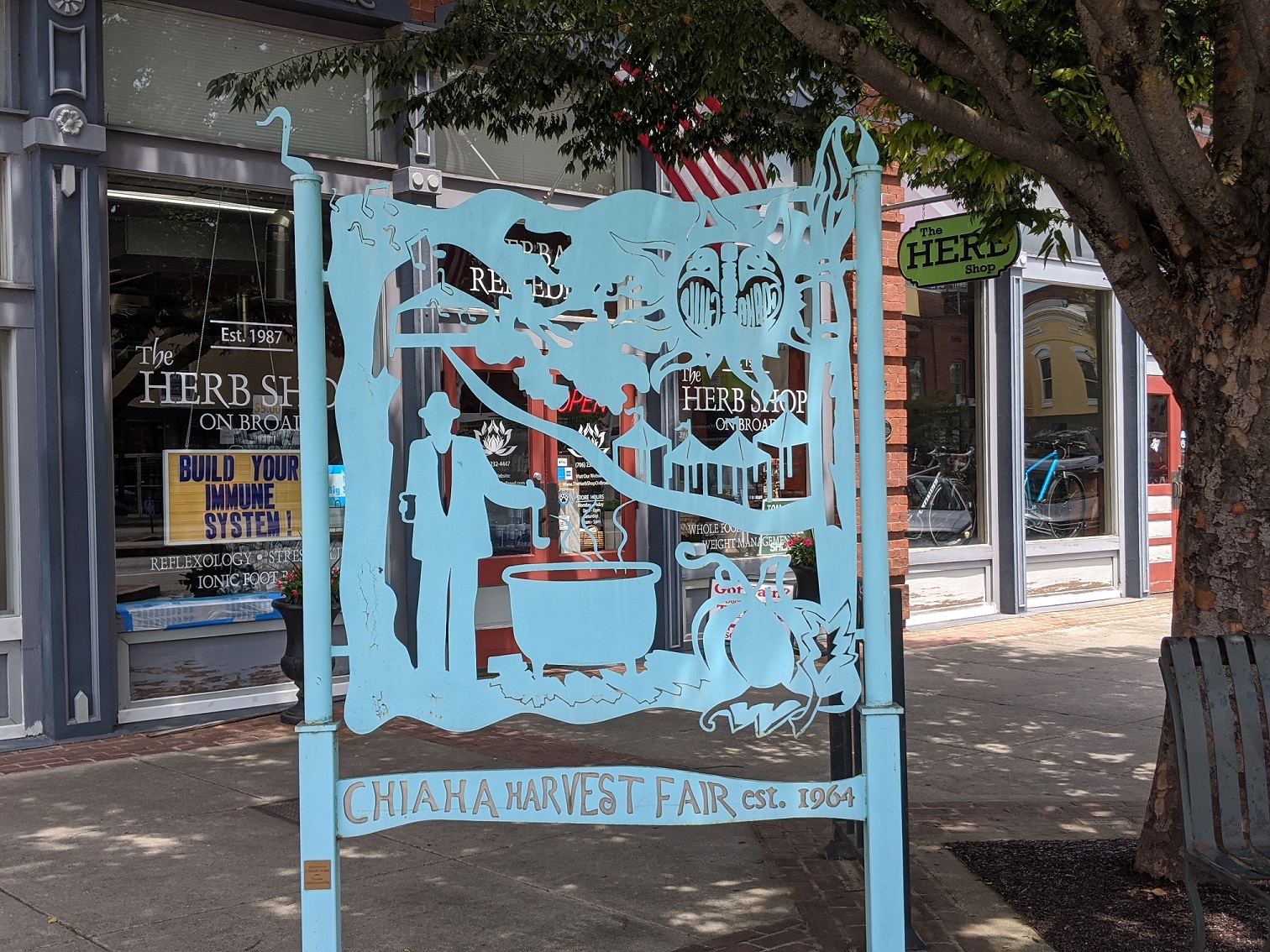 Unique Historical Tour of Broad Street In Rome, Georgia