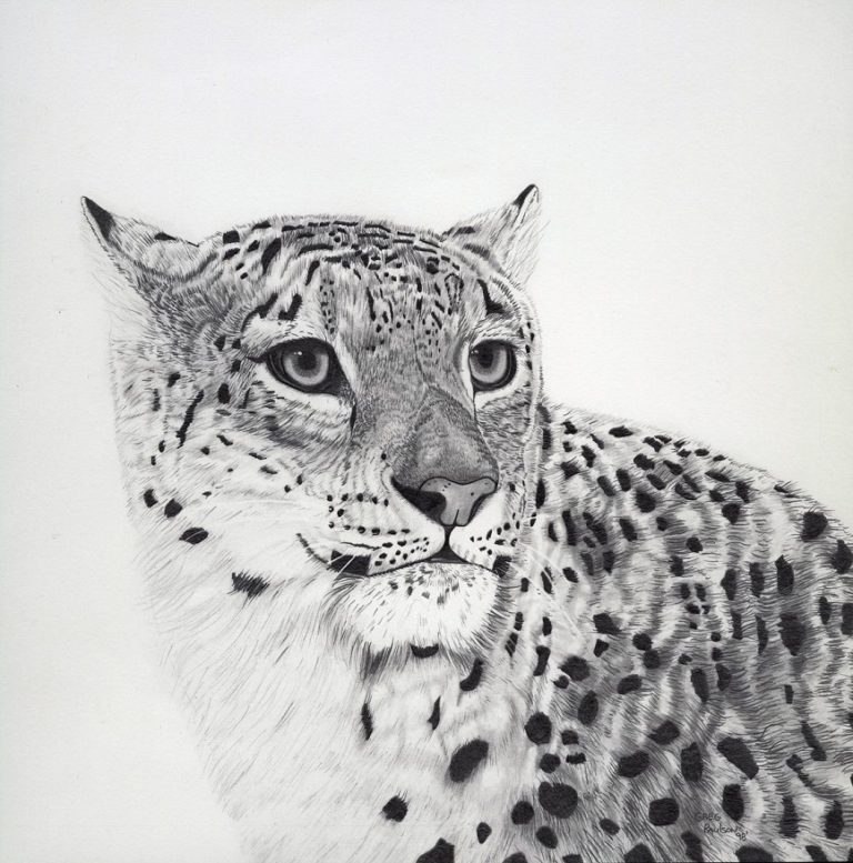 Rome’s Chef Greg Paulson And His Forte For Pencil Drawing