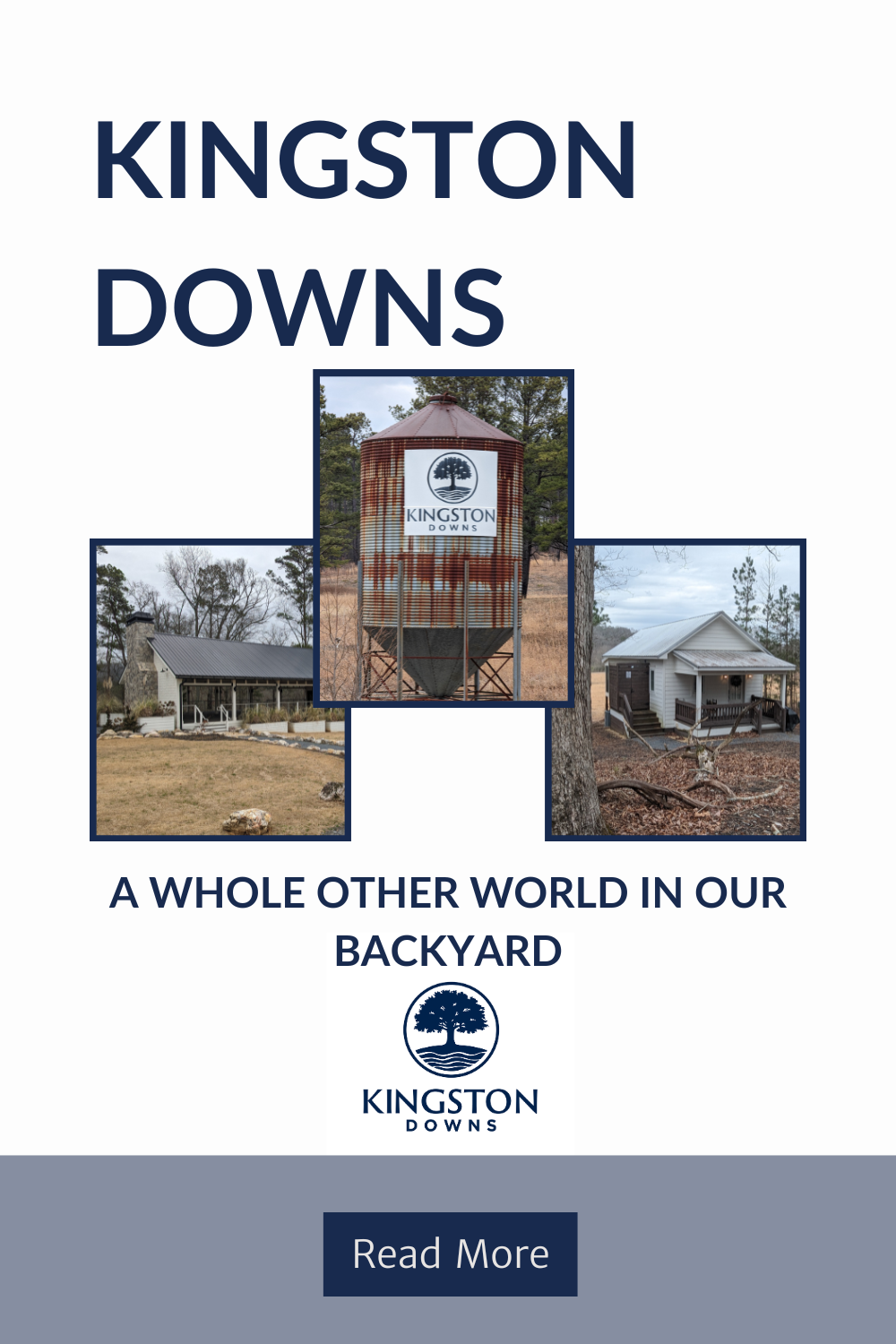 Kingston Downs: A Whole Other World In Our Backyard